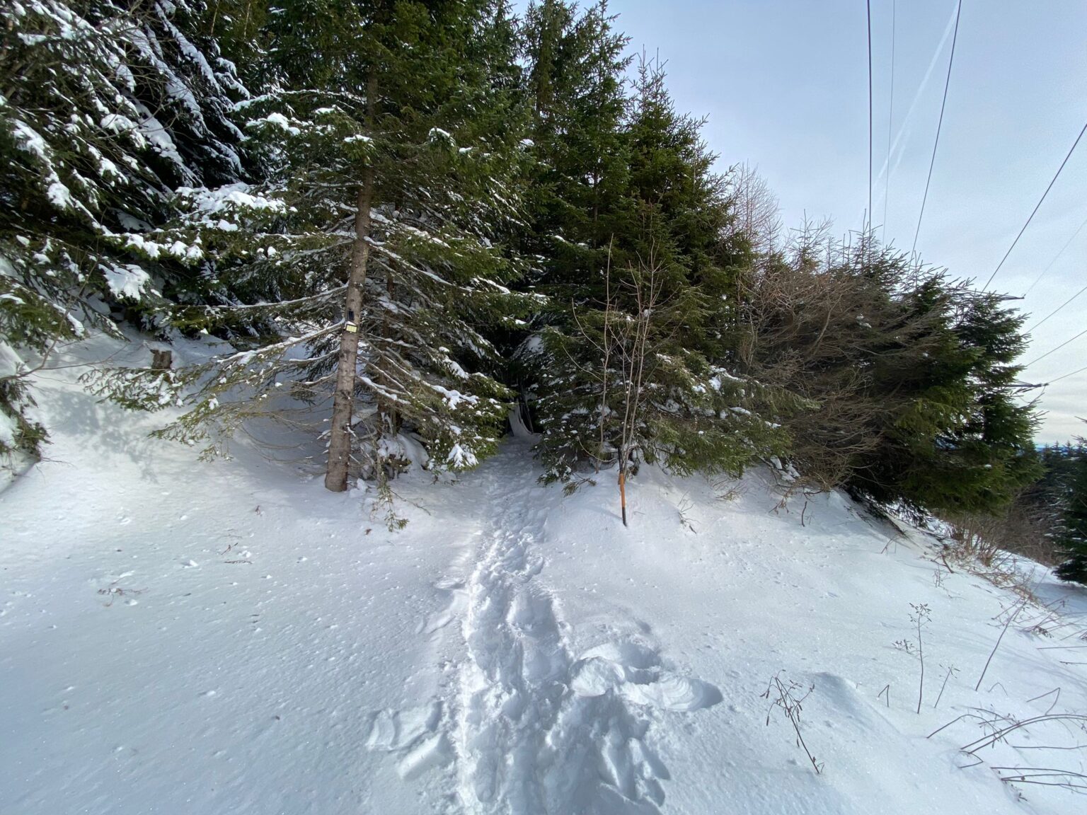 Heidi-Alm-Amelie – Alpen Chalet Grabner Alm